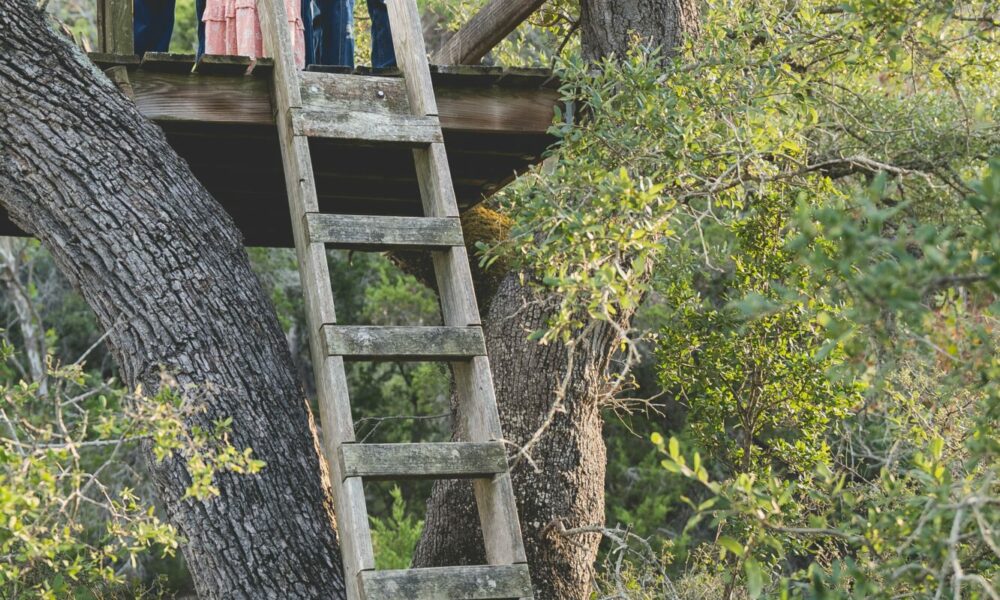 Daily Inspiration: Meet Jennifer Ober - Voyage Austin